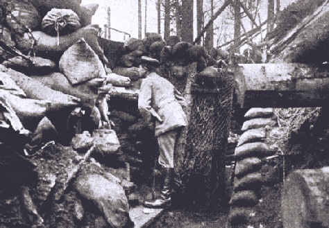 Roads to the Great War: The Genesis of New Military Intelligence ...