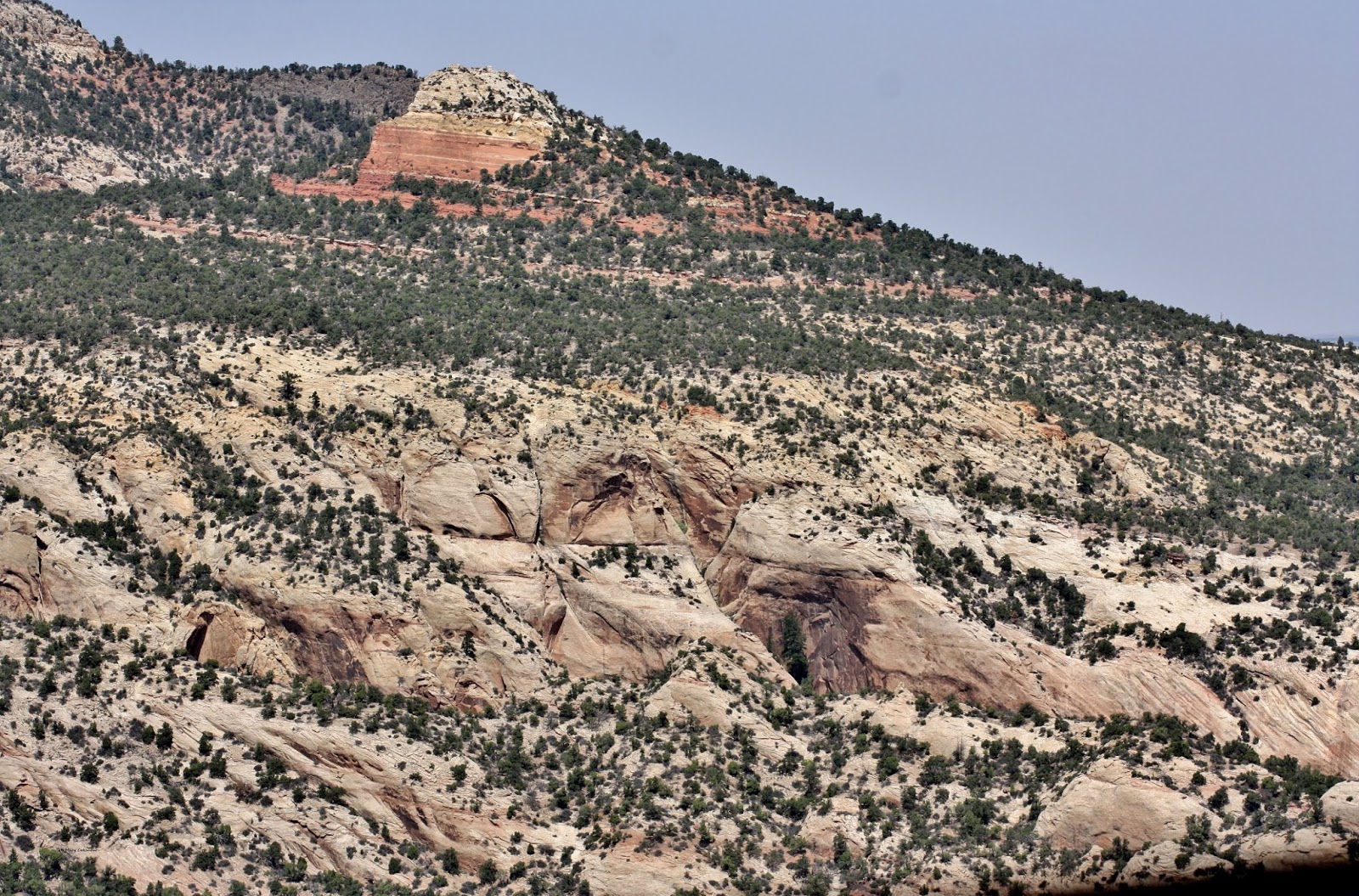 The Southwest Through Wide Brown Eyes: The Much Awaited Shay Ridge/Shay ...