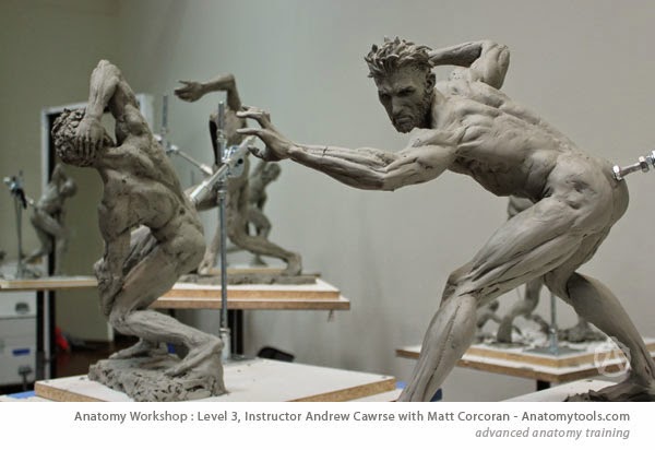 AnatomyTools.com: 2014 Photo Album - Human Anatomy Workshop Lvl-3