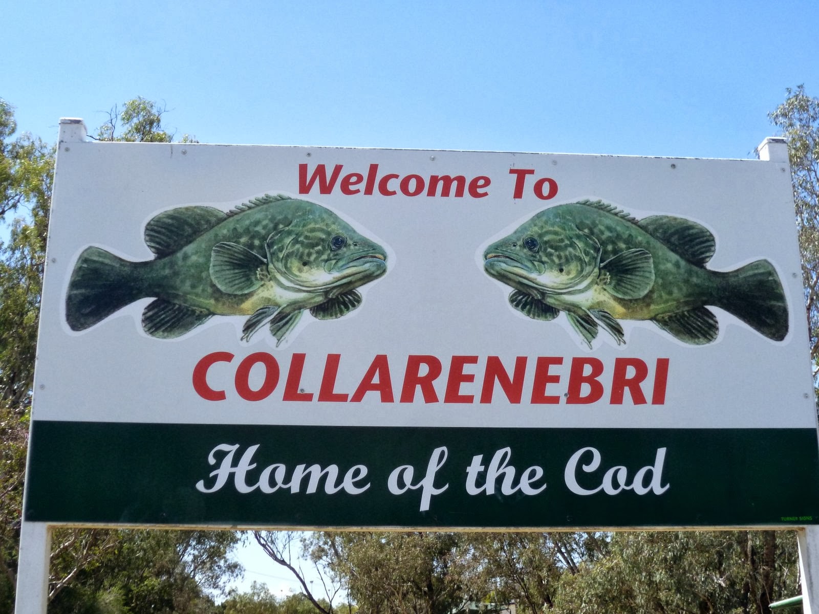 Witchwae Returns to Big Island: Collarenebri