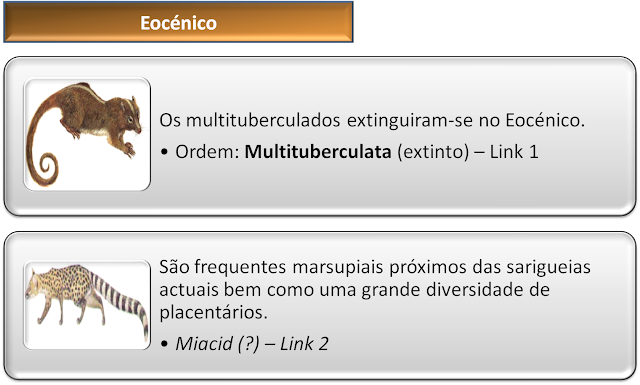 EstratoBlografia: Geistória: Era Cenozóico - Periodo Paleogénico