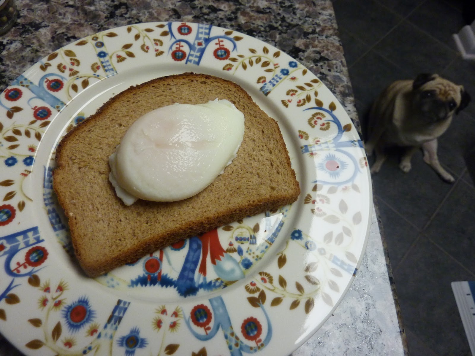 Lil Smug Pug: Another Poached Egg and Kale Chips