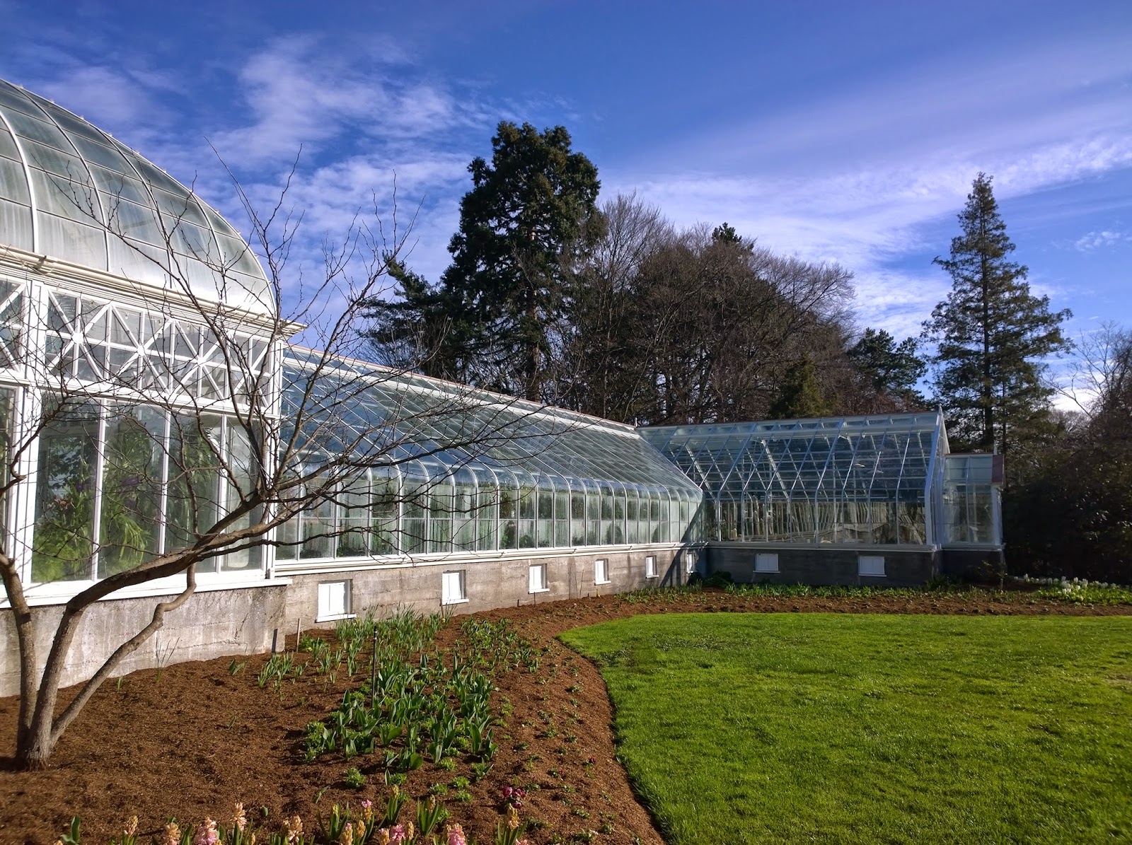 Lydia's Blog: Seattle: Volunteer Park Conservatory