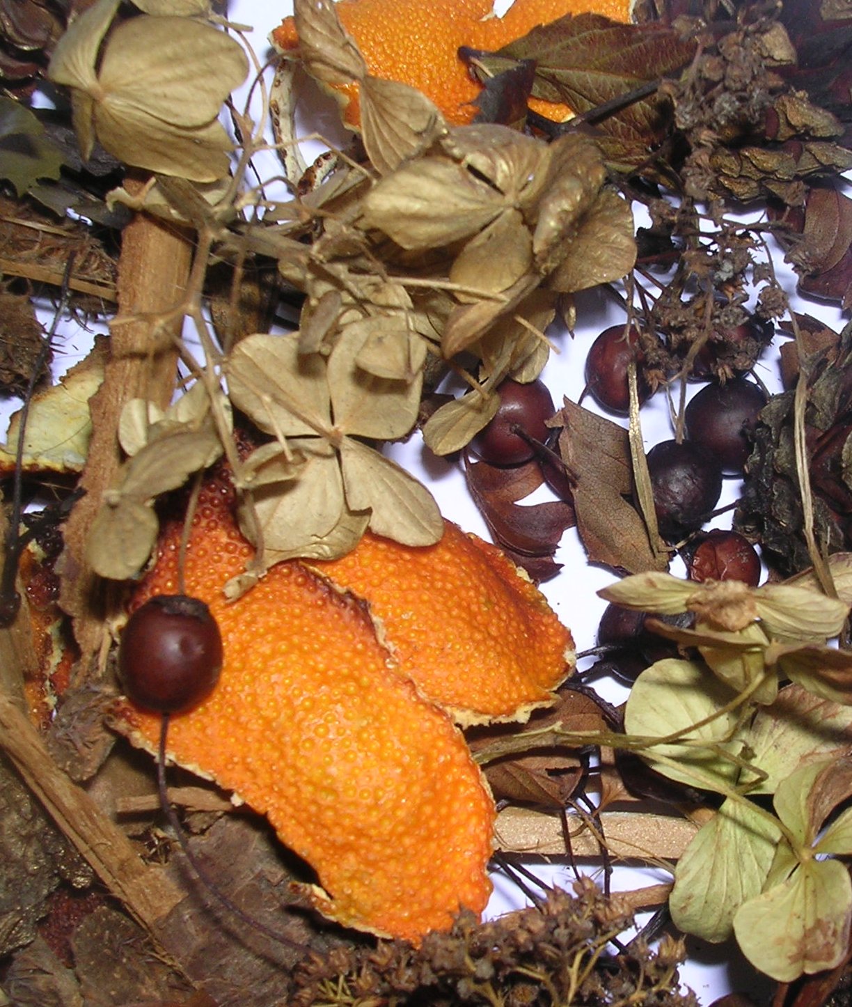 Creative And Faithful: How To Dry Flowers