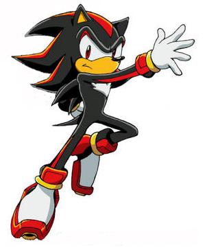History Team Future Hedgehog: shadow the hedgehog