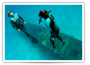 APNEA (BUCEO LIBRE)