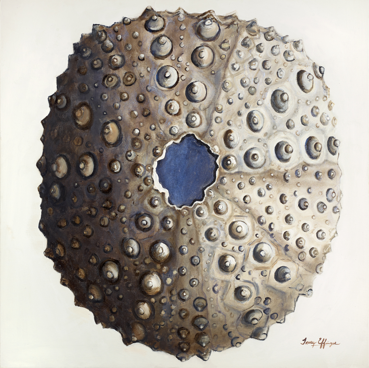 Paintings By Tracy Effinger Upton