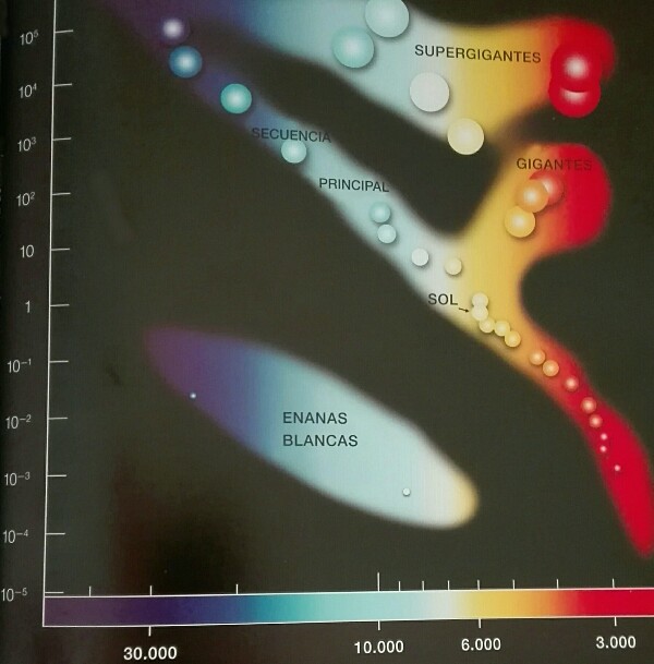 UNA BREVE HISTORIA DE CASI TODO ~ Beautiful places of Barcelona and ...