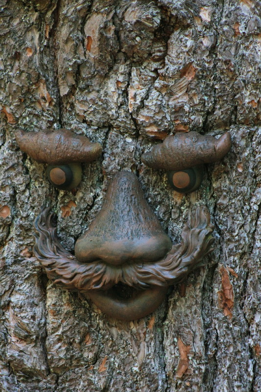 JunkinJane: My Tree Man Face