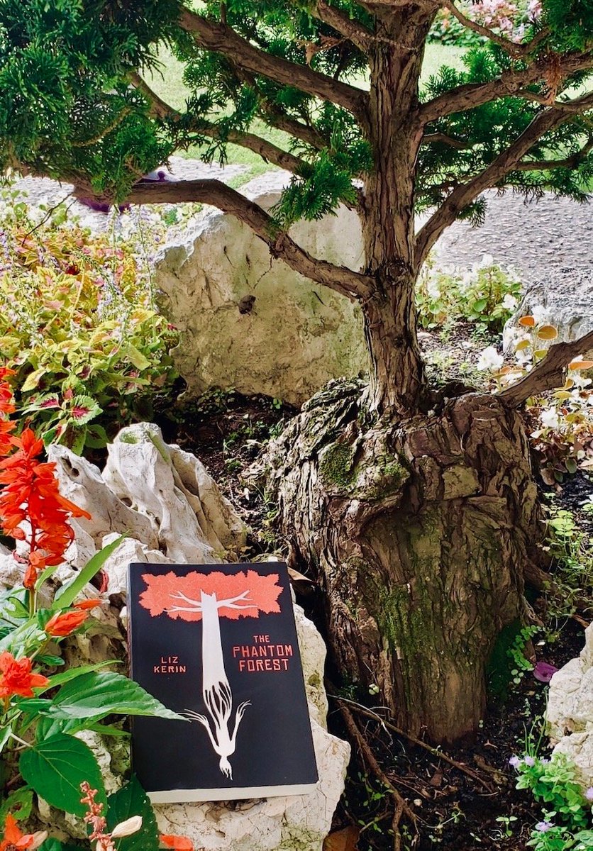 Operation Awesome: 2019