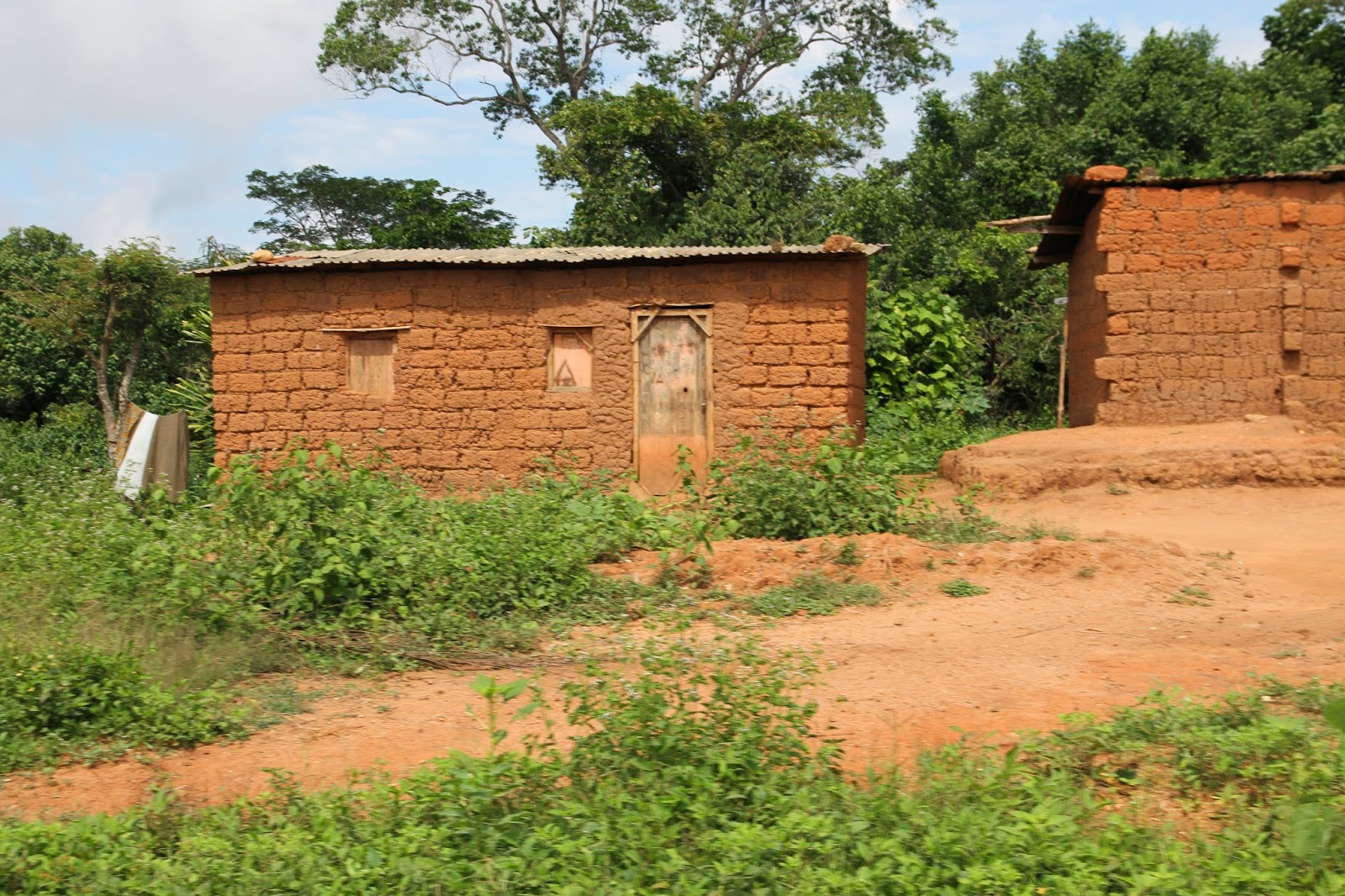 Adventures in Angola: Fazenda Cabuta