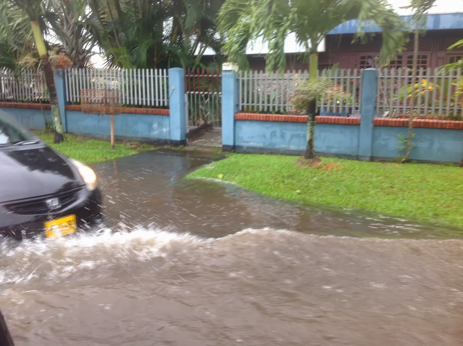 Nana and Papa's Journey: Guyana/Berbise/Lindon Celebration visits