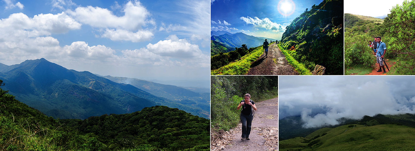 TRAVEL IN SRI LANKA: රිවස්ටන් . RIVERSTON