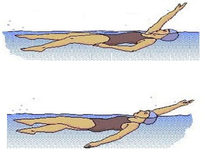 Practicas Acuáticas: Estilo Espalda