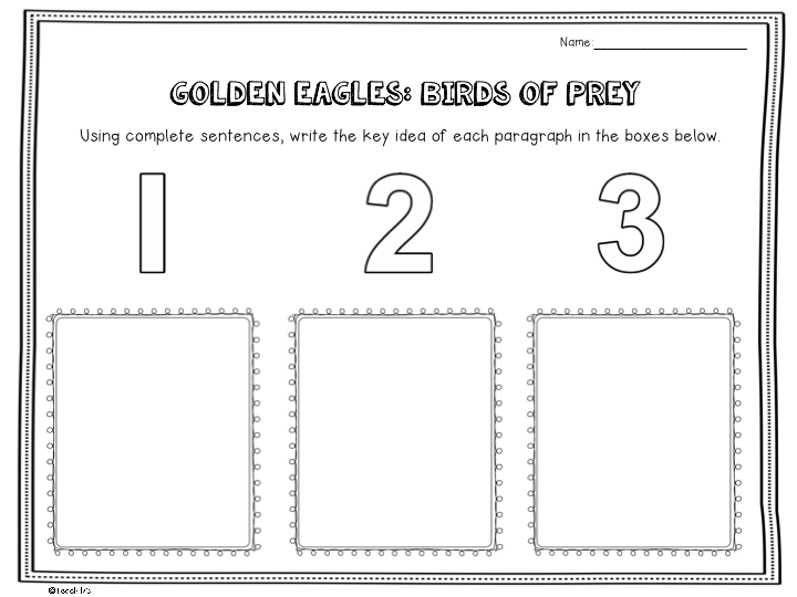 Birds of Prey: Golden Eagle | Teach123