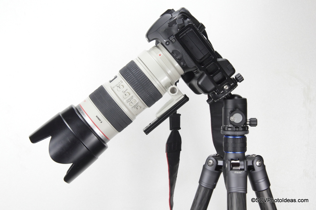 S.C.V. Photography Ideas: Sunwayfoto FB-36DDH Lightweight Ball Head Review