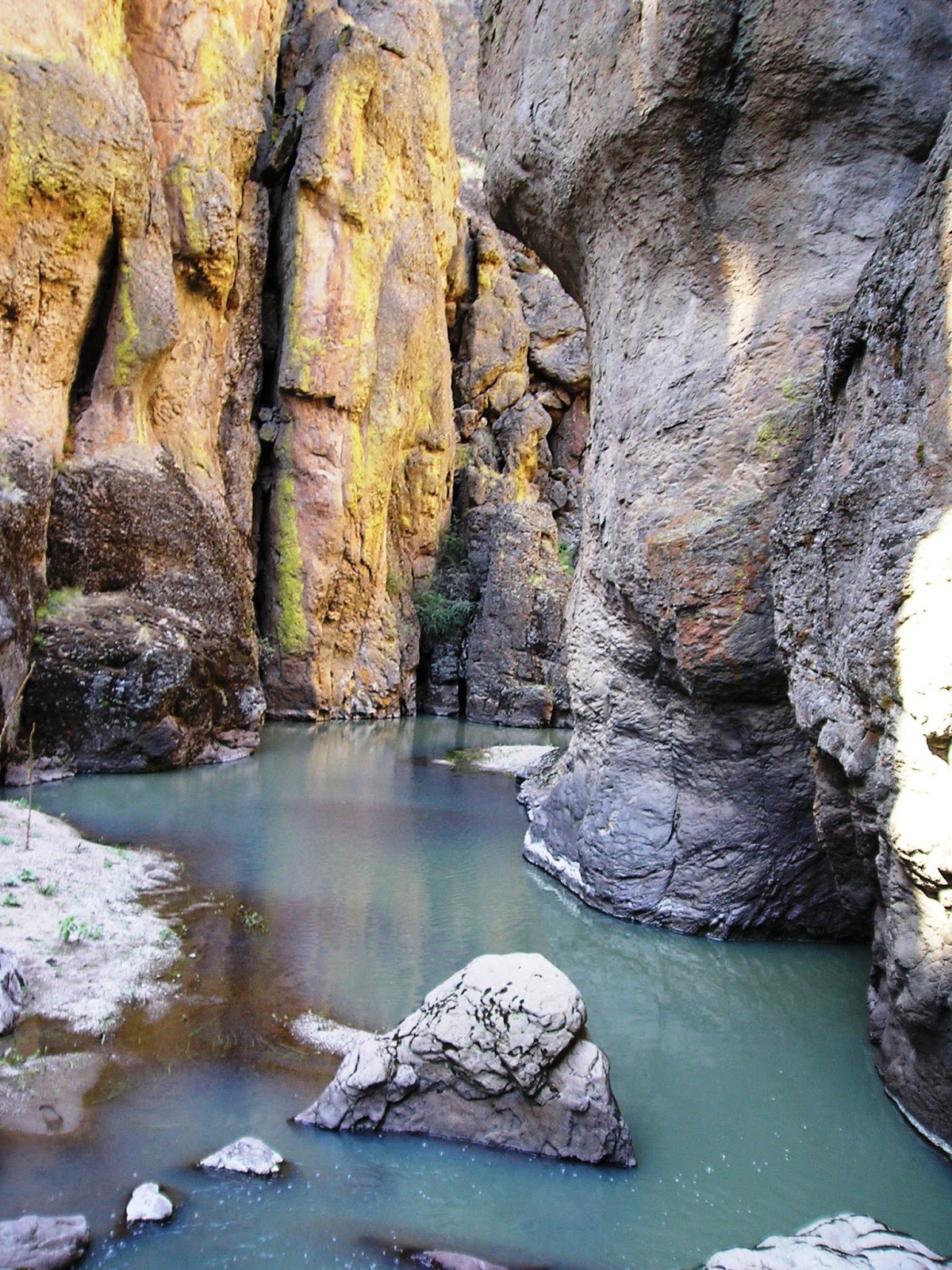 Birding Is Fun!: Three Forks of the Owyhee River