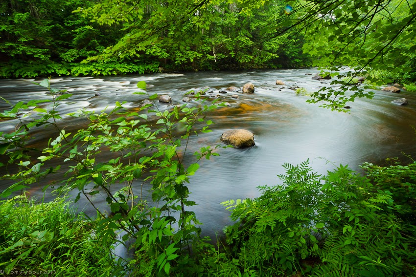 The Ohio Nature Blog: A Wider View- The Crooked River