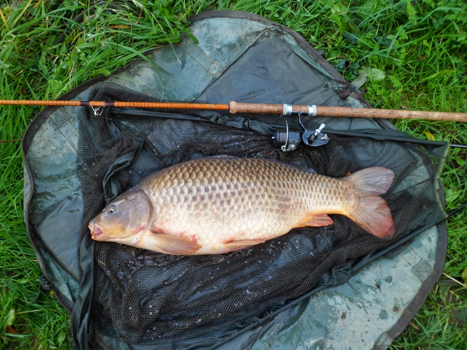 The Intrepid Piscator: Redmire Pool 2013