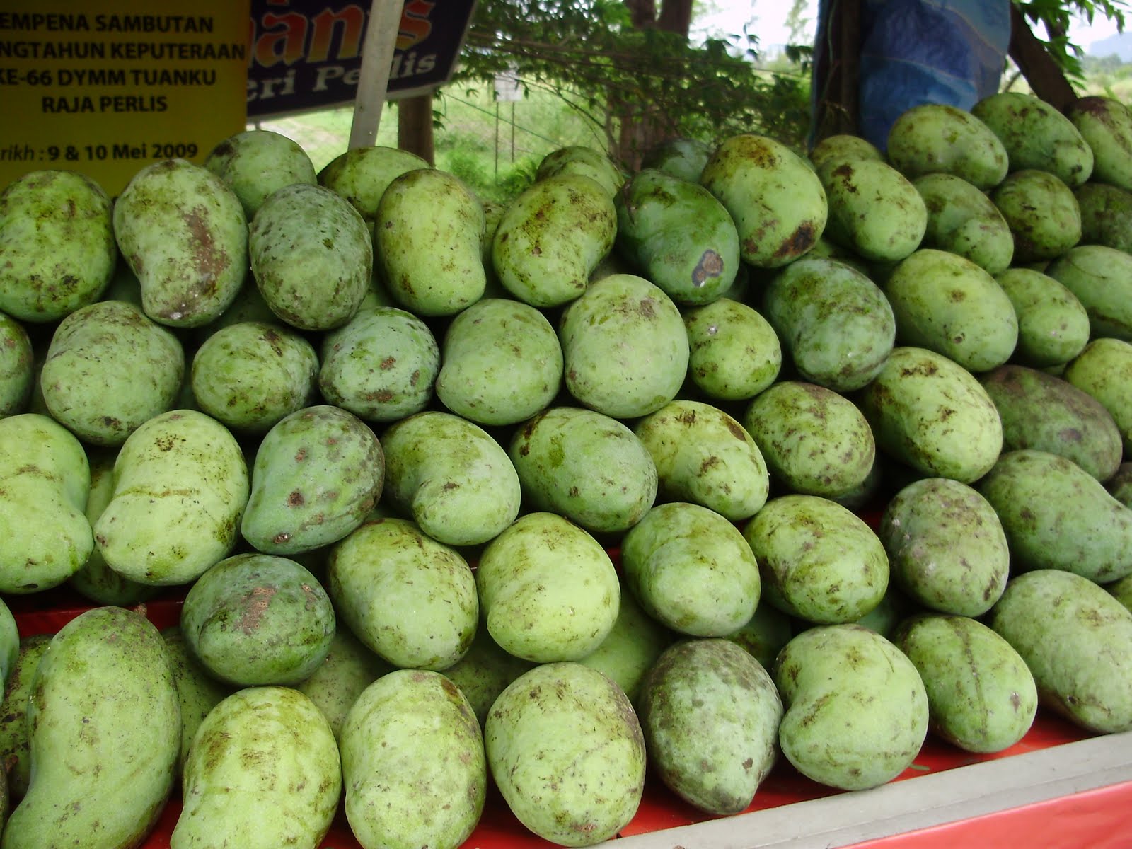 Sweet Sour Our Life with NUHLAN: Mempelam Harum Manis..Yummy...sedapppp