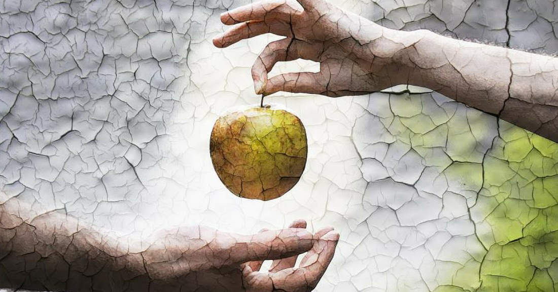 Y-Chromosome Adam & Mitochondrial Eve: Is Science Confirming Genesis?