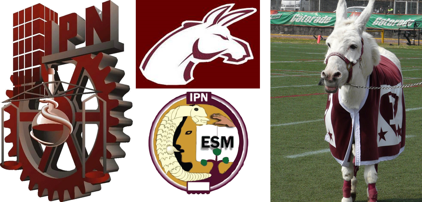 LECTURA EXPERIMENTAL : Instituto Politécnico Nacional