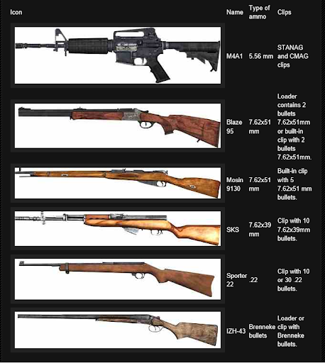 DayZ Game: Firearms DayZ Game Guide
