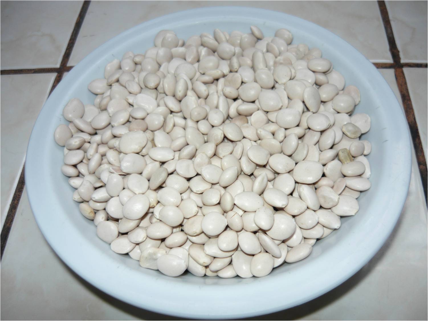 ALTERNATIVA ECOLÓGICA: PREPARADO CASERO A BASE DE TARWI (LUPINUS MUTABILIS)