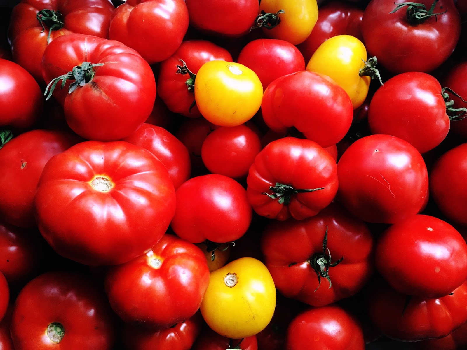 .jazzino.: Tatrapõhjal tomati-kitsejuustupirukas