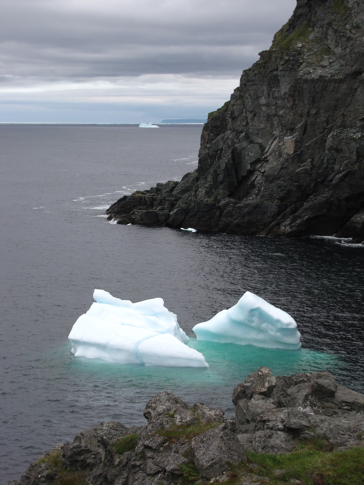 Wallis Designs: Icebergs in Newfoundland