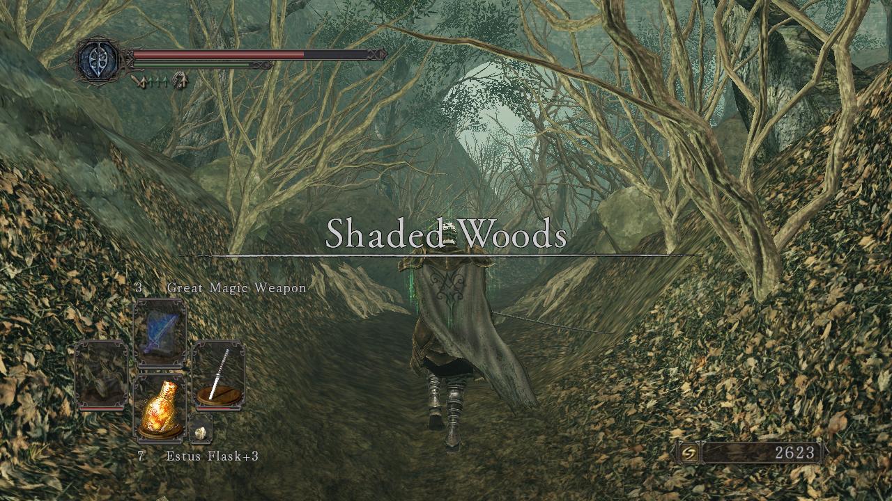 LightningXII World Gamer: บทสรุป Dark Souls II - Shaded Wood