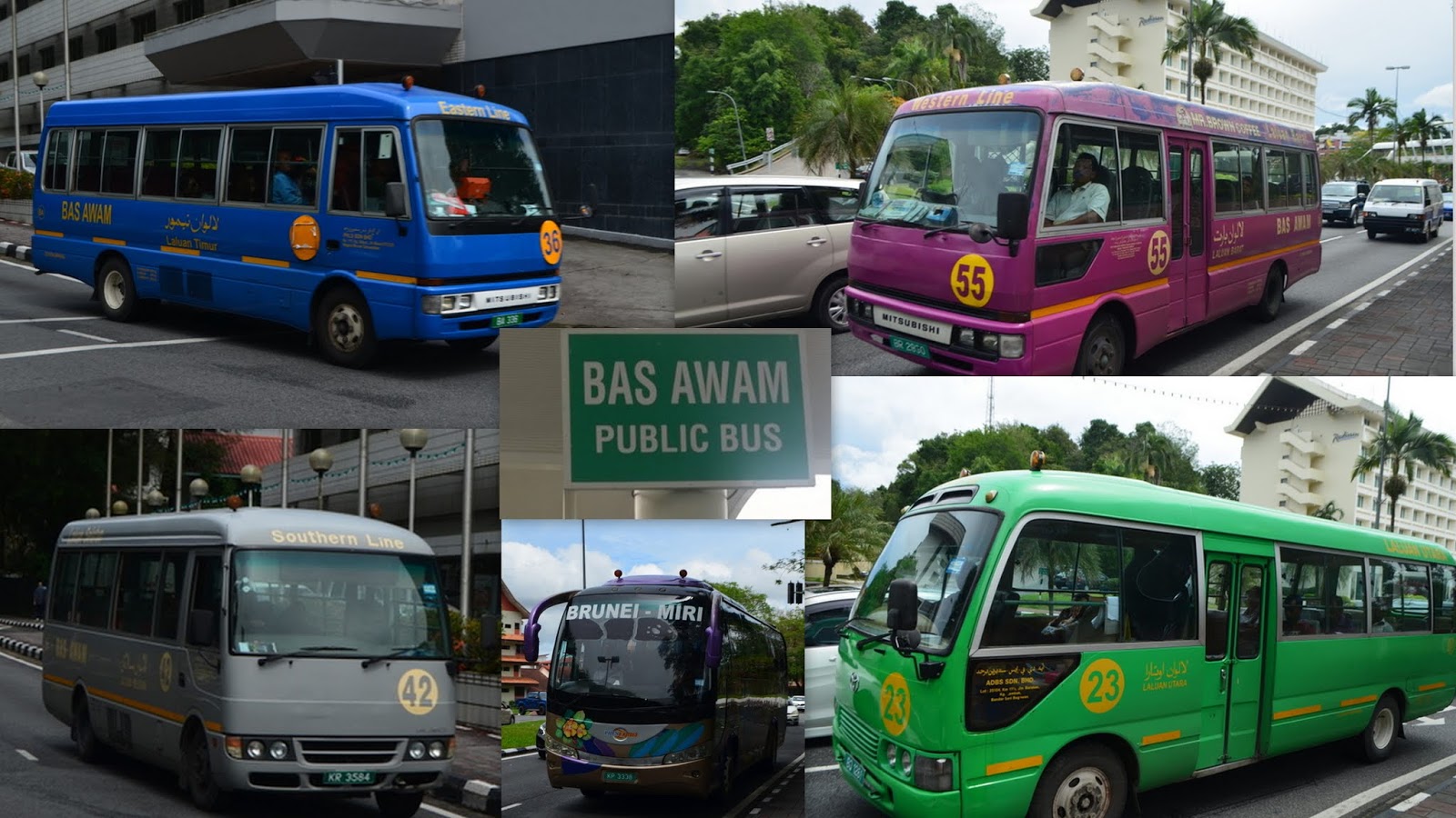 ASEAN buses