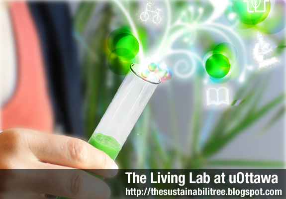 The Living Lab at uOttawa - The Sustainabilitree