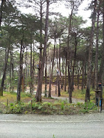 Groupon, experiencia de compra: PARQUE ARVÍ-COMFAMA