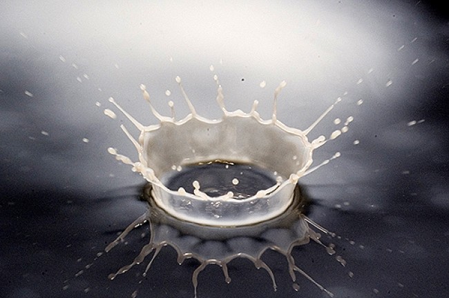 Chris Drago Period 1 Mr. B: Fast Shutter Speed Pictures