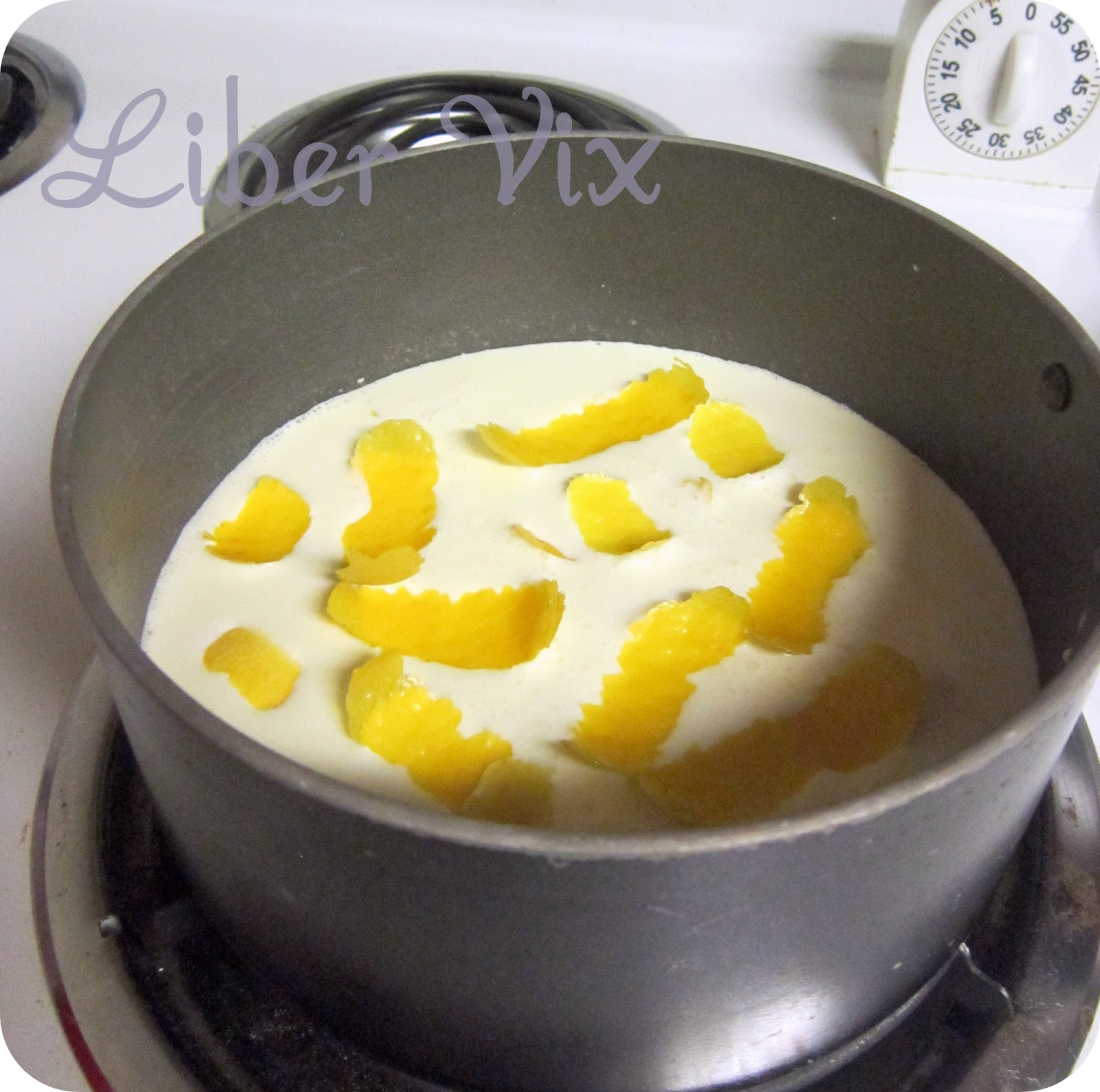 liber vix: Nomtastic! Creamy Lemon Gingersnap Ice Cream