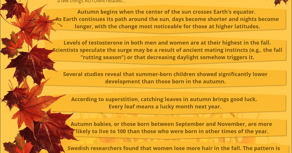 SCG RANDOM FACTS: A FEW THINGS ABOUT... Autumn