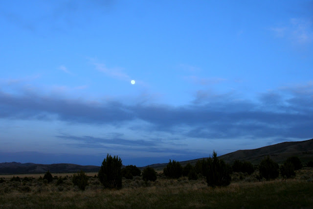 Yates Family: Family Outings: Blessing or Curse?