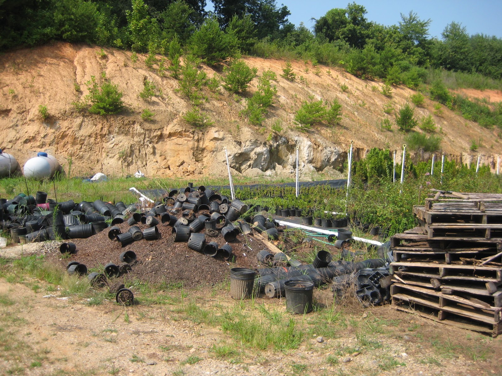 NCSU PDIC: Growing Healthy Plants, part I: Sanitation is Not a Dirty Word