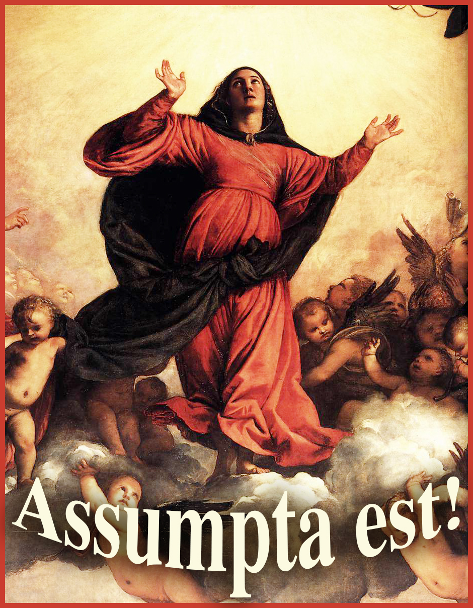 Quadrotti: Assumpta est!