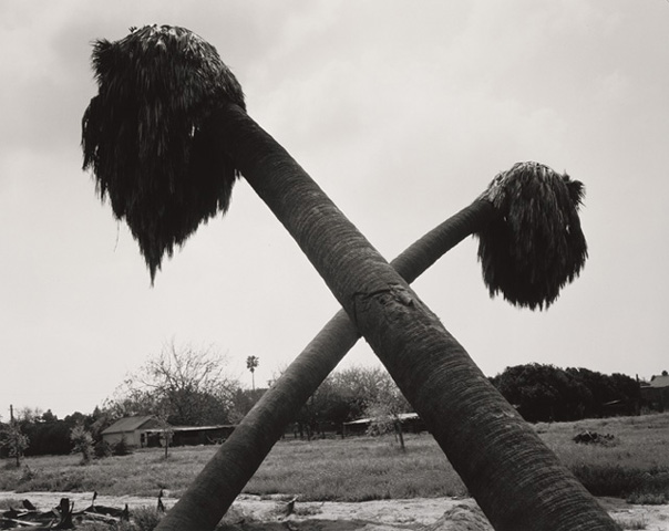 Irene's Corner: Famous Photographer #23: Robert Adams