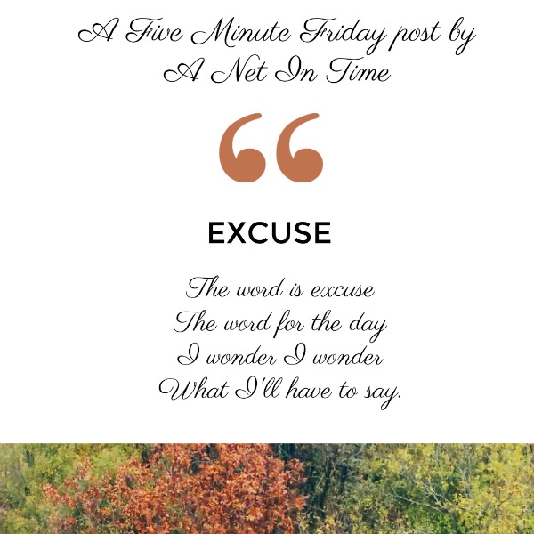 Excuse, a Poem - A Net in Time