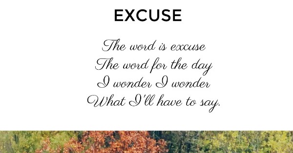 Excuse, a Poem - A Net in Time