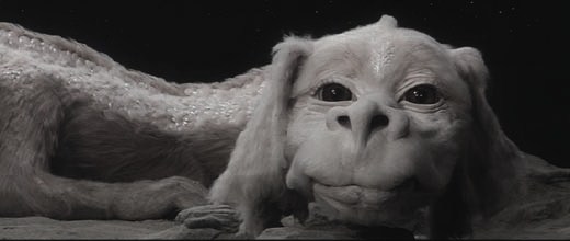 Julie Loka: Falcor - Where Is He Now?