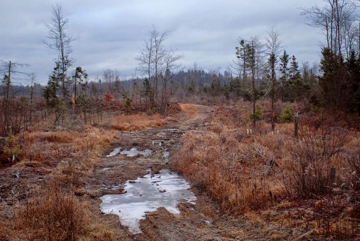 Aaron Chabot Creatives