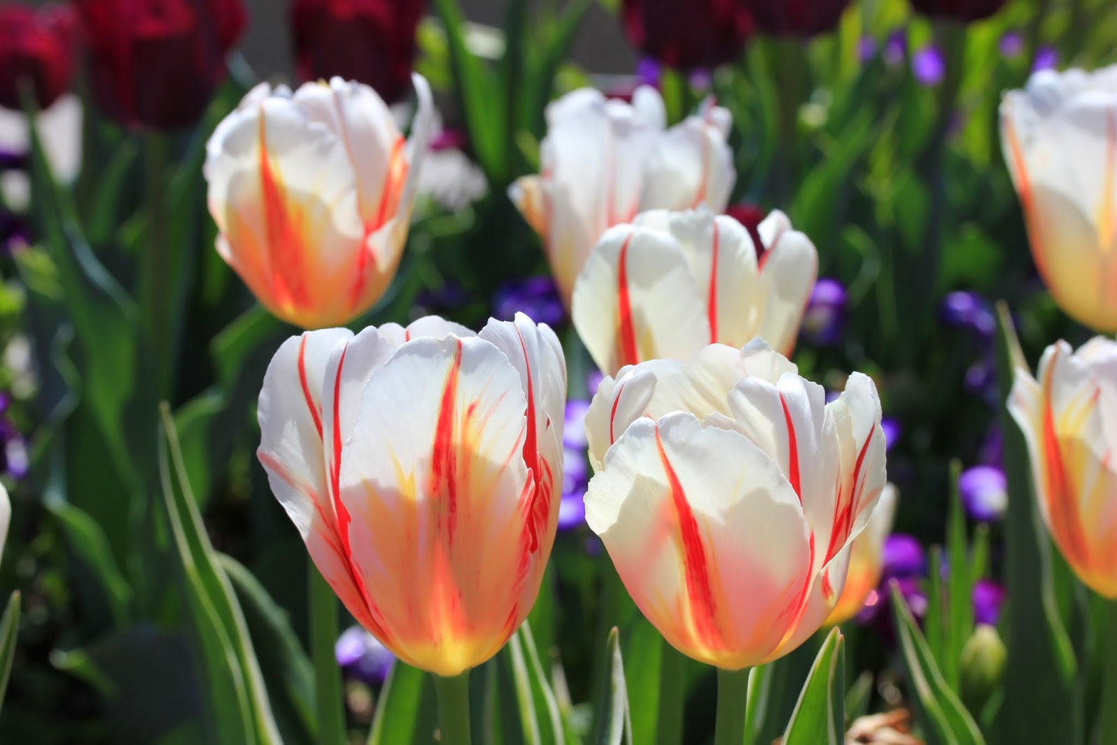 Jill's World of Research, Reaction and Millinery: A Colorful Weekend ...