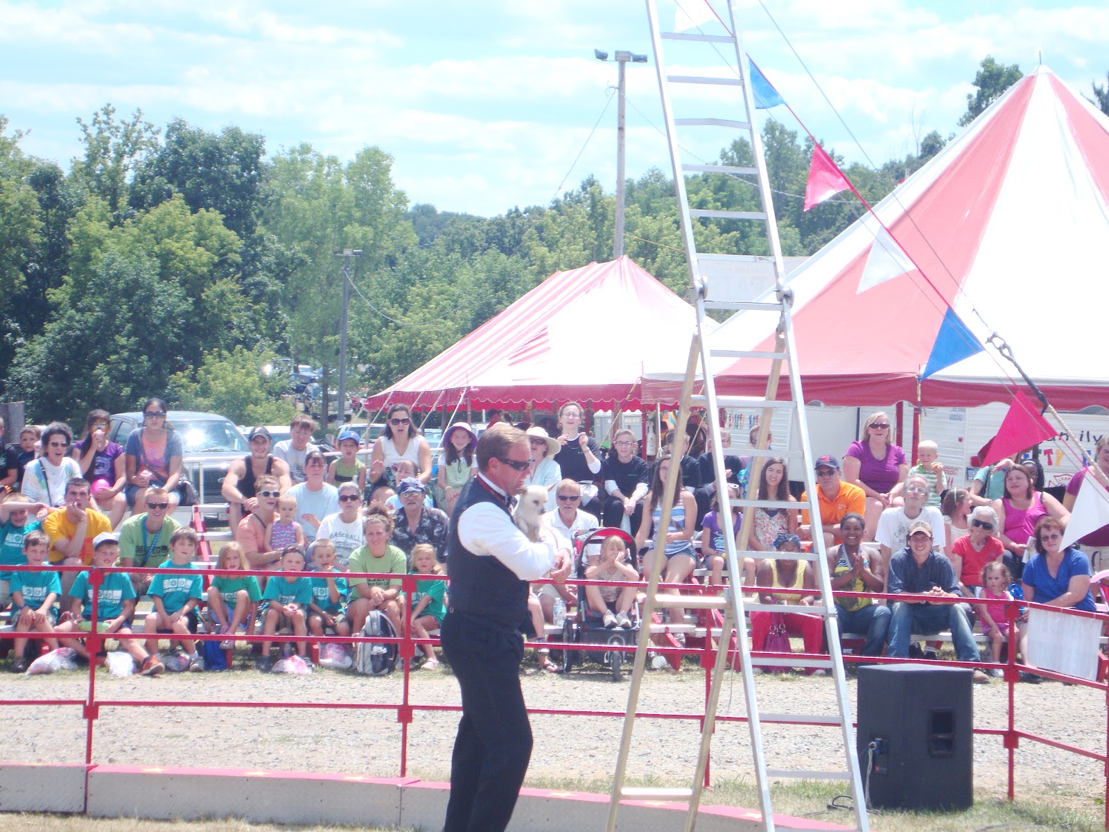 Robbie's Paw Prints: 4-H Fair day again!