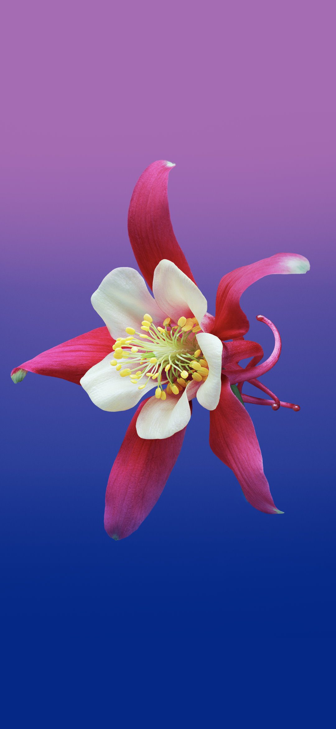 Wallpapers Huawei P30 Pro - Pack 2