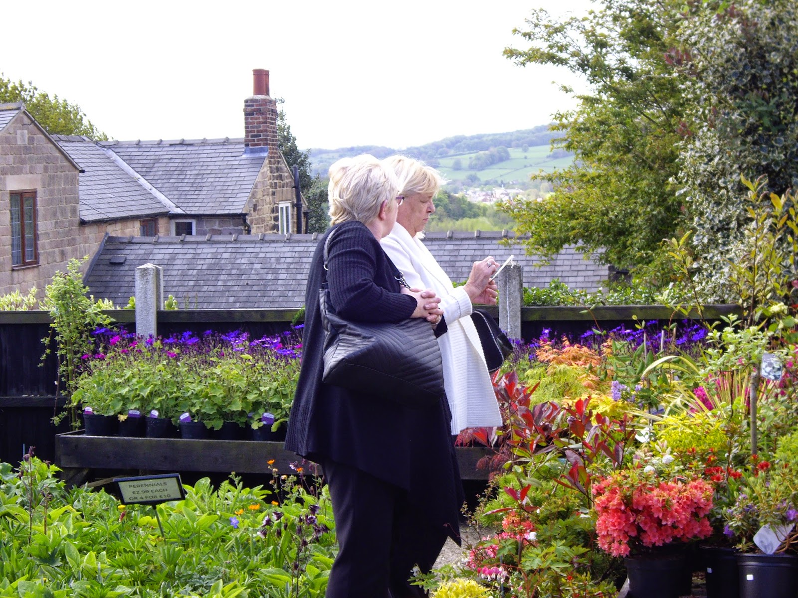 Chas's Pictorial Blog: Buying Plants at Dunge Farm Nursery, Belper