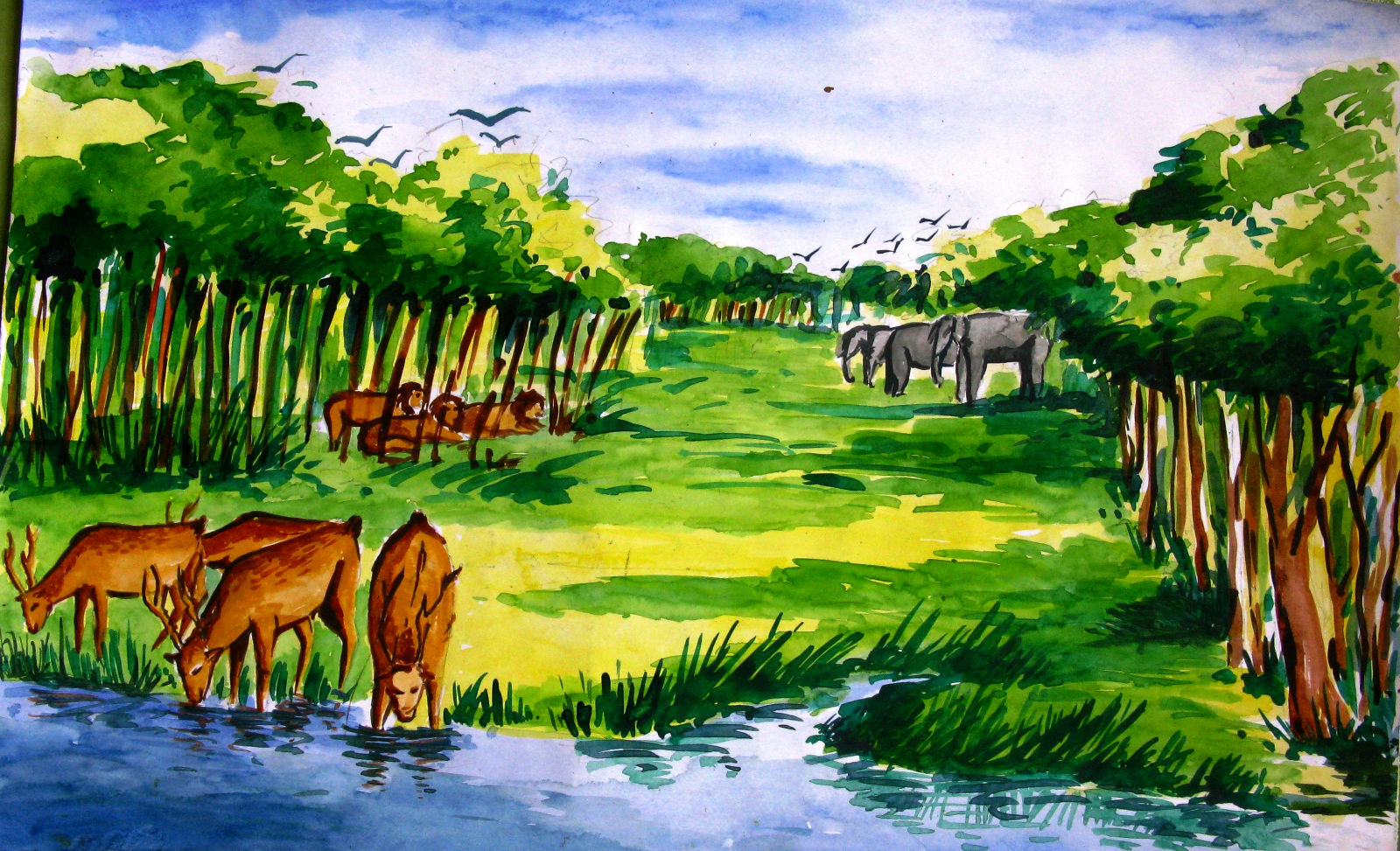 Biodiversity Experiences: BIODIVERSITY THROUGH ART